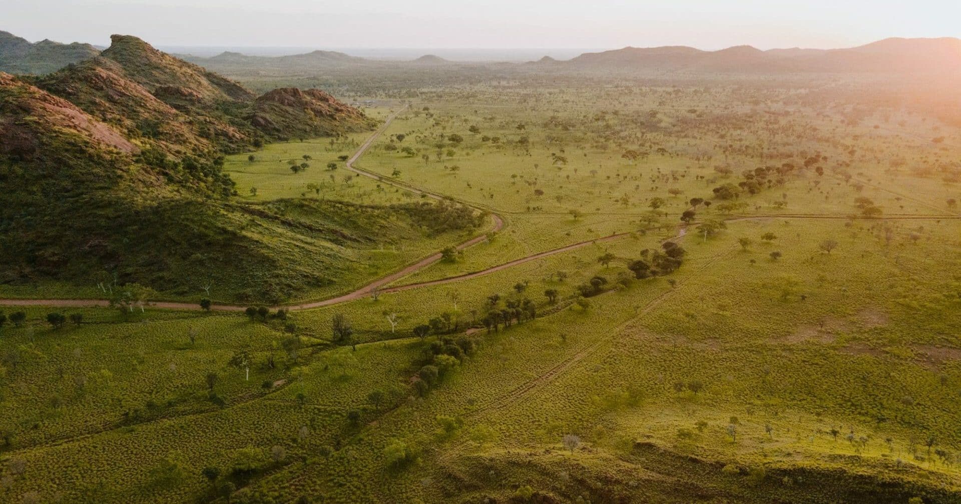 Hewitt - Creating Sustainable Foods