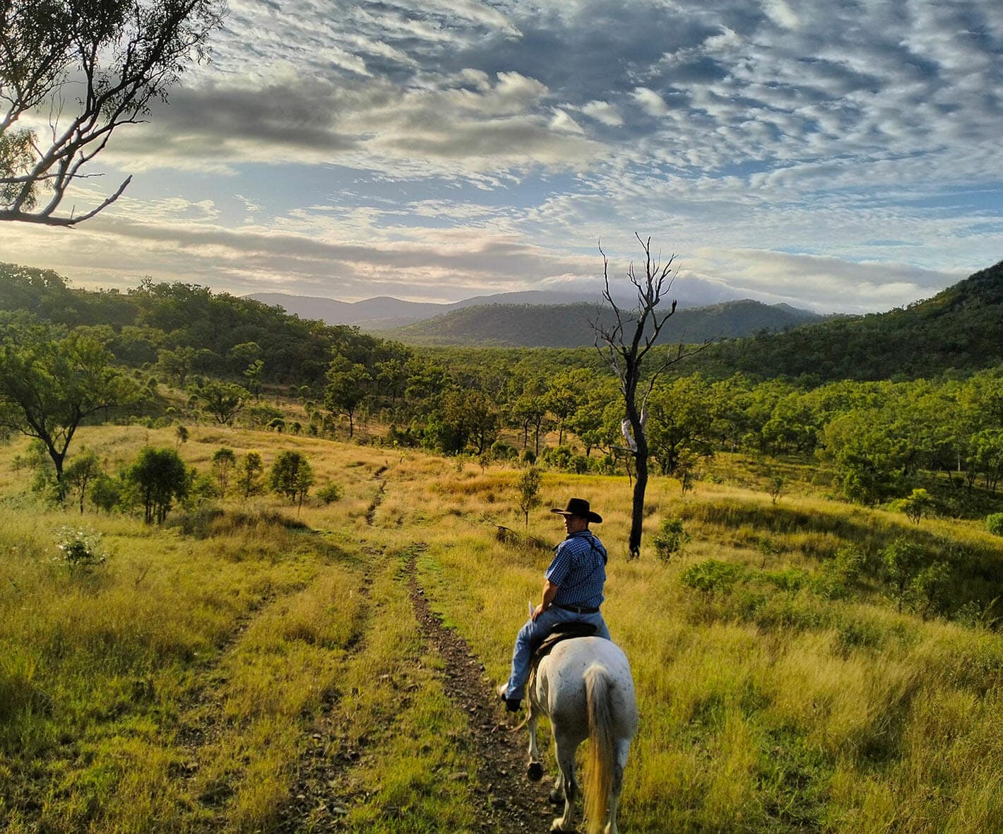 Hewitt - Creating Sustainable Foods