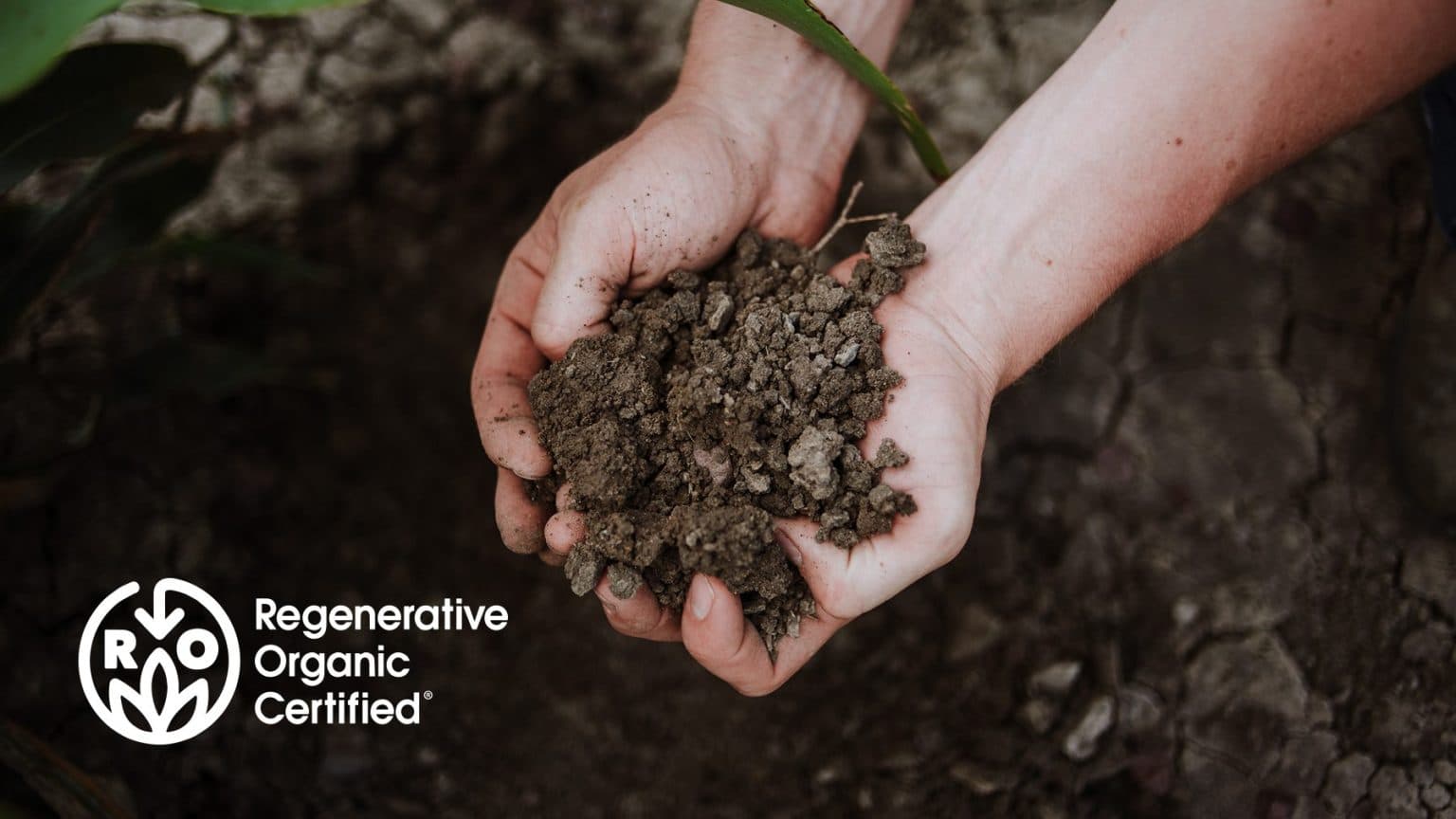 Regenerative Organic Certification an Industry First - Hewitt