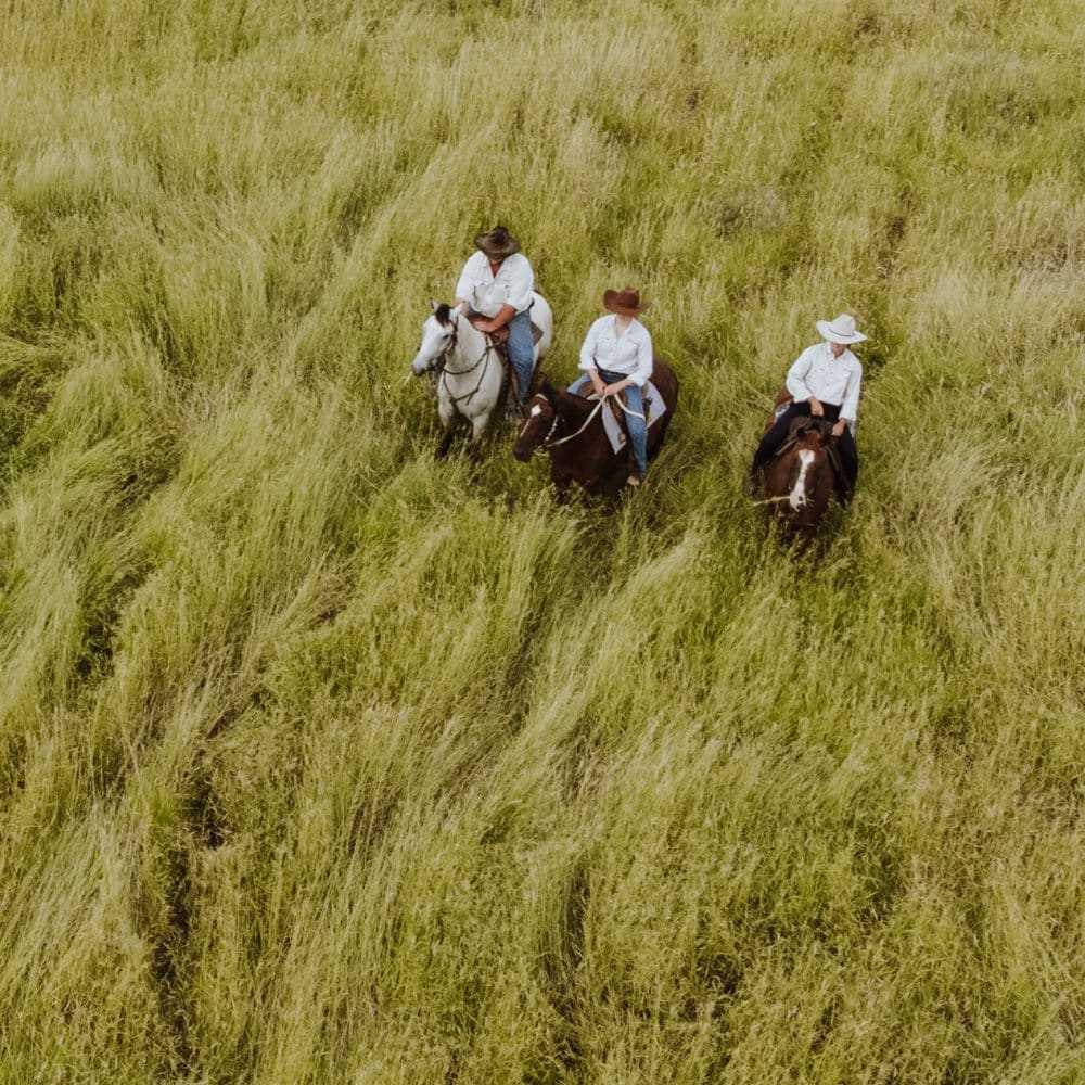 Hewitt - Creating Sustainable Foods