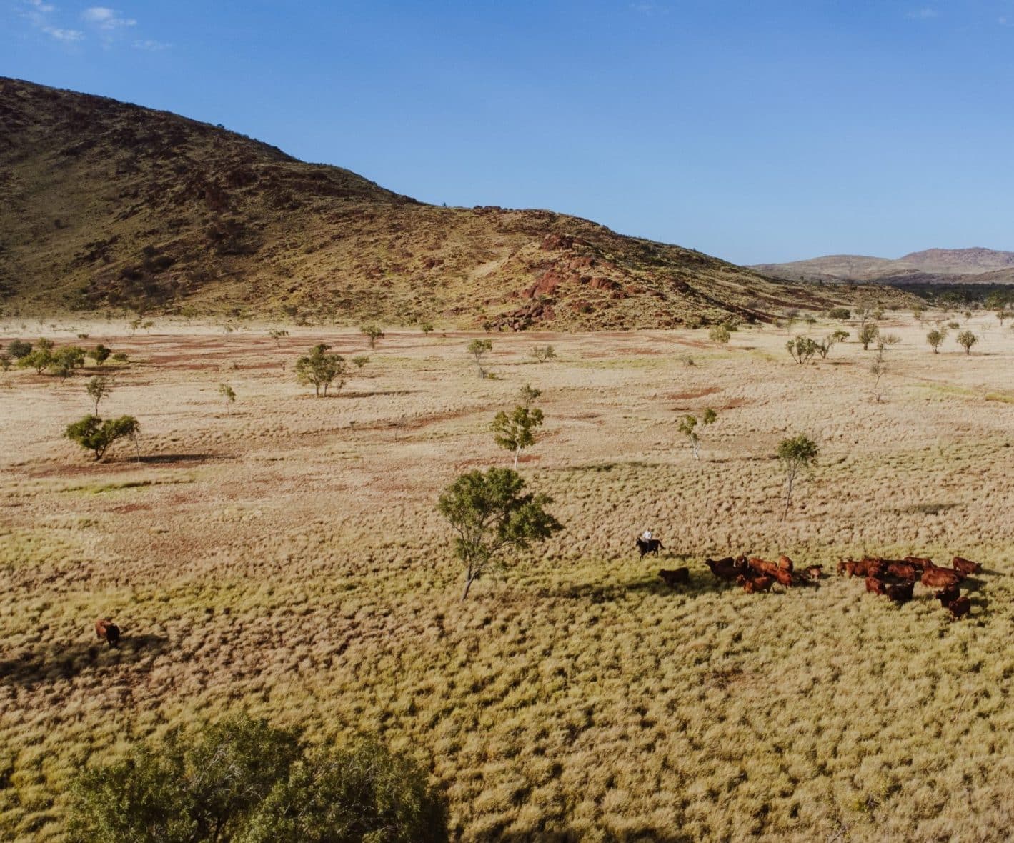 Hewitt - Creating Sustainable Foods