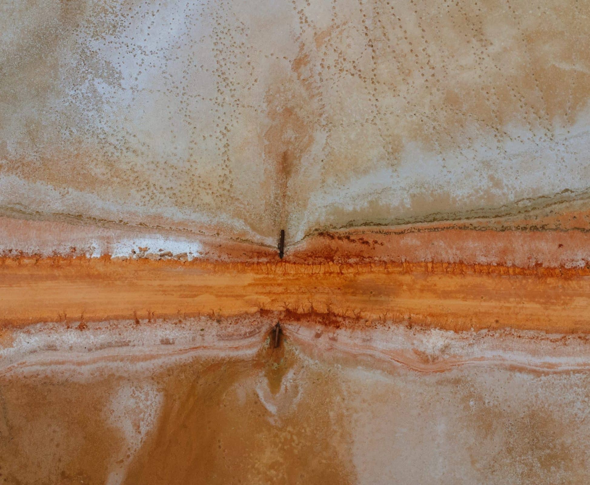 Hewitt - Creating Sustainable Foods